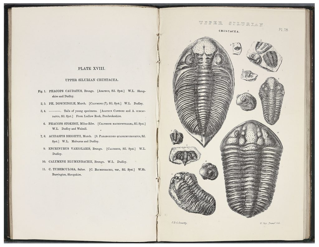 Murchison’s Silurian System - Worcestershire Archive & Archaeology Service