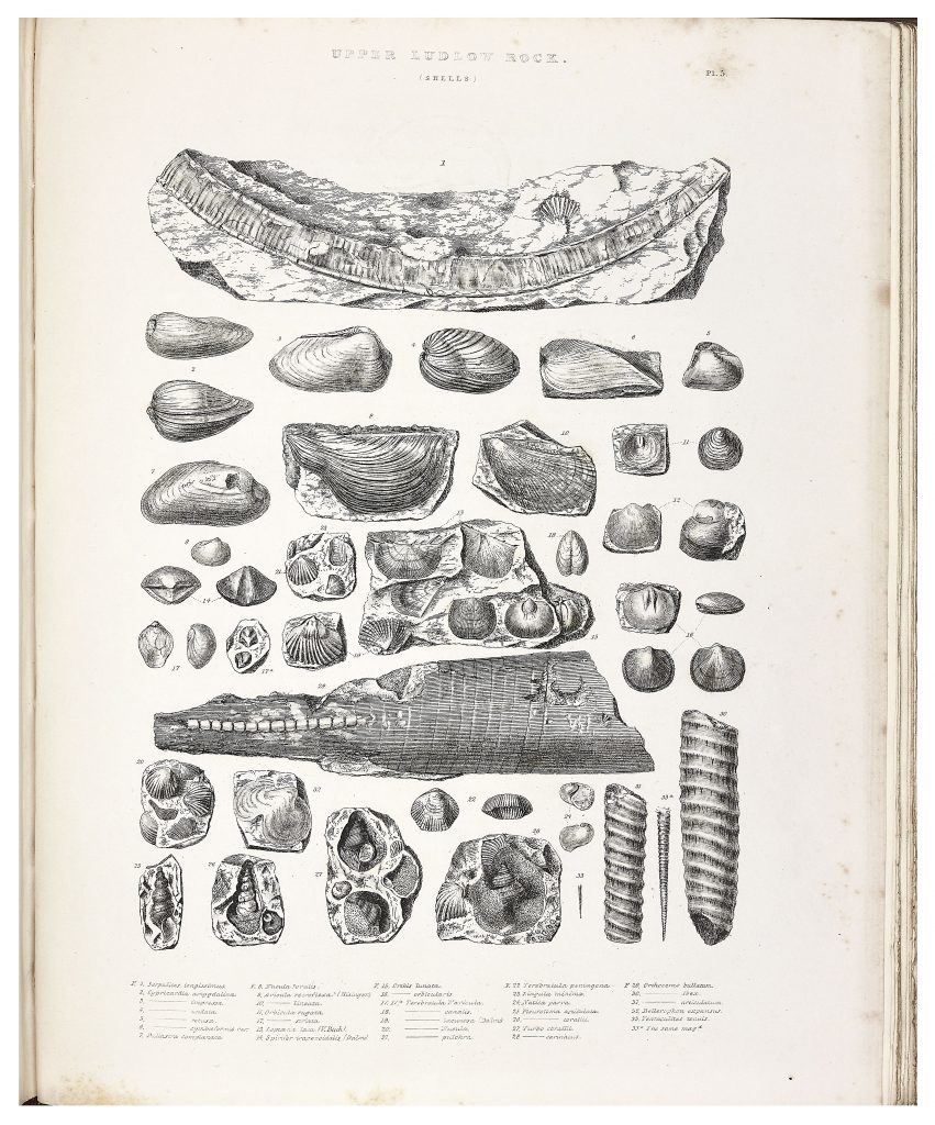 Murchison’s Silurian System - Worcestershire Archive & Archaeology Service