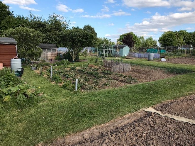 Adding a New Layer: 20th Century Heritage in Worcestershire – Allotment ...