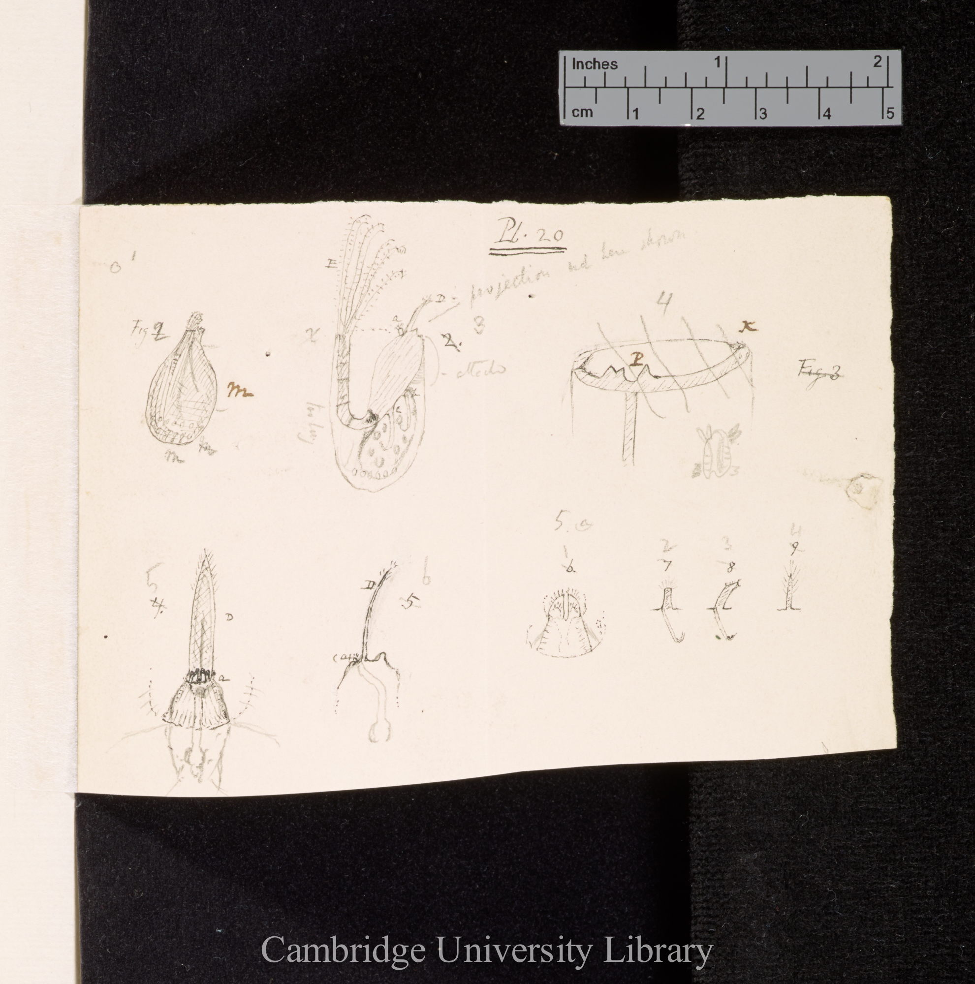 Darwin and The Water Cure – Part 2 Darwin, Malvern & Barnacles ...