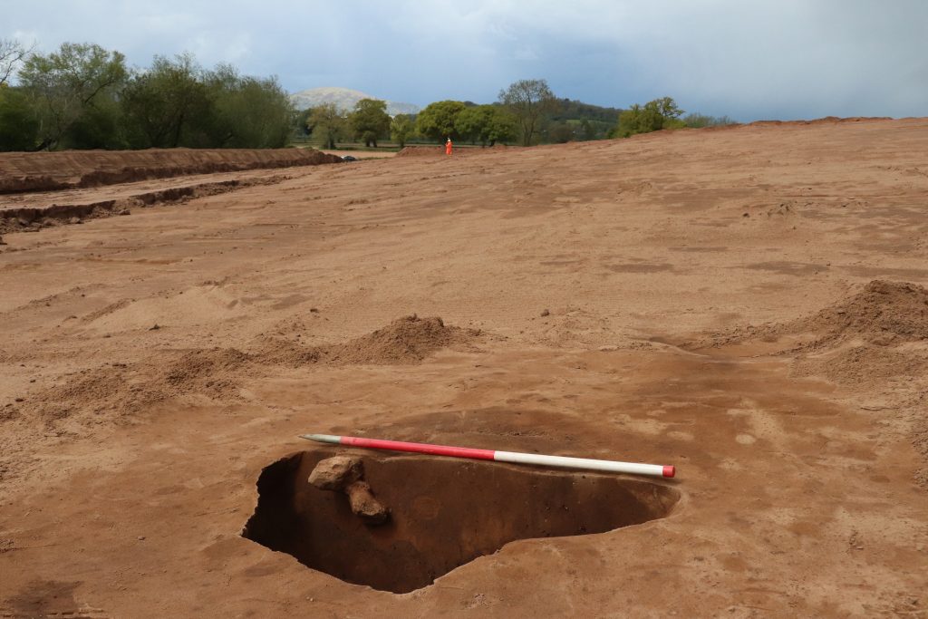 Find Of The Month – July 2021 – A lovely find from an isolated pit ...