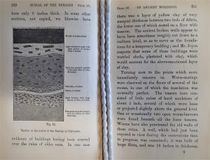 World Earthworm Day - Worcestershire Archive & Archaeology Service