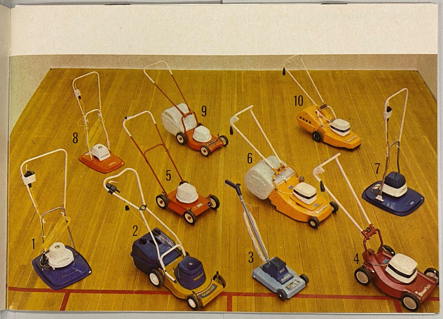 ‘Tom’ the Burlingham Bird - Worcestershire Archive & Archaeology Service