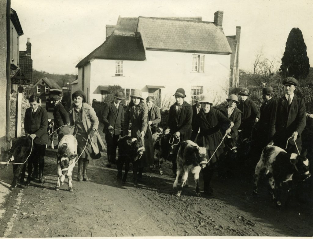 Abberley and District Young Farmers’ Clubs – From Calf Clubs to a ...