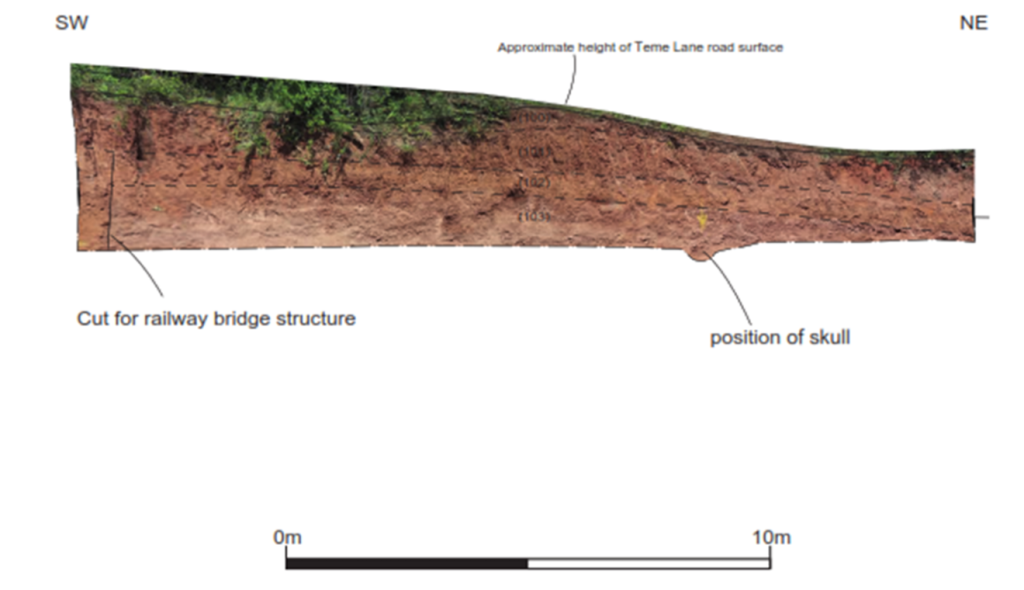 The Body on the Bromyard Line - Worcestershire Archive & Archaeology ...
